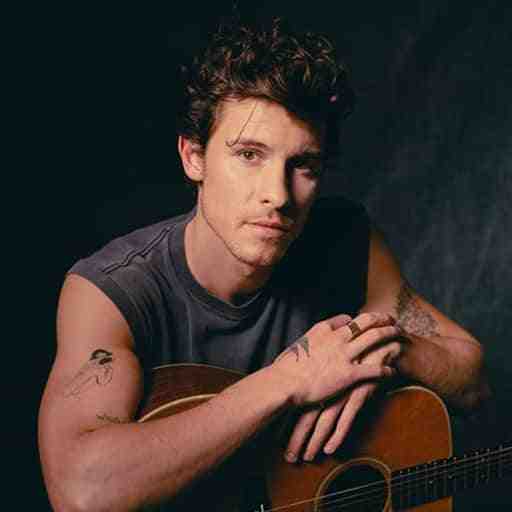 VIP Tickets & Packages for Concert Tours in 2025/2026